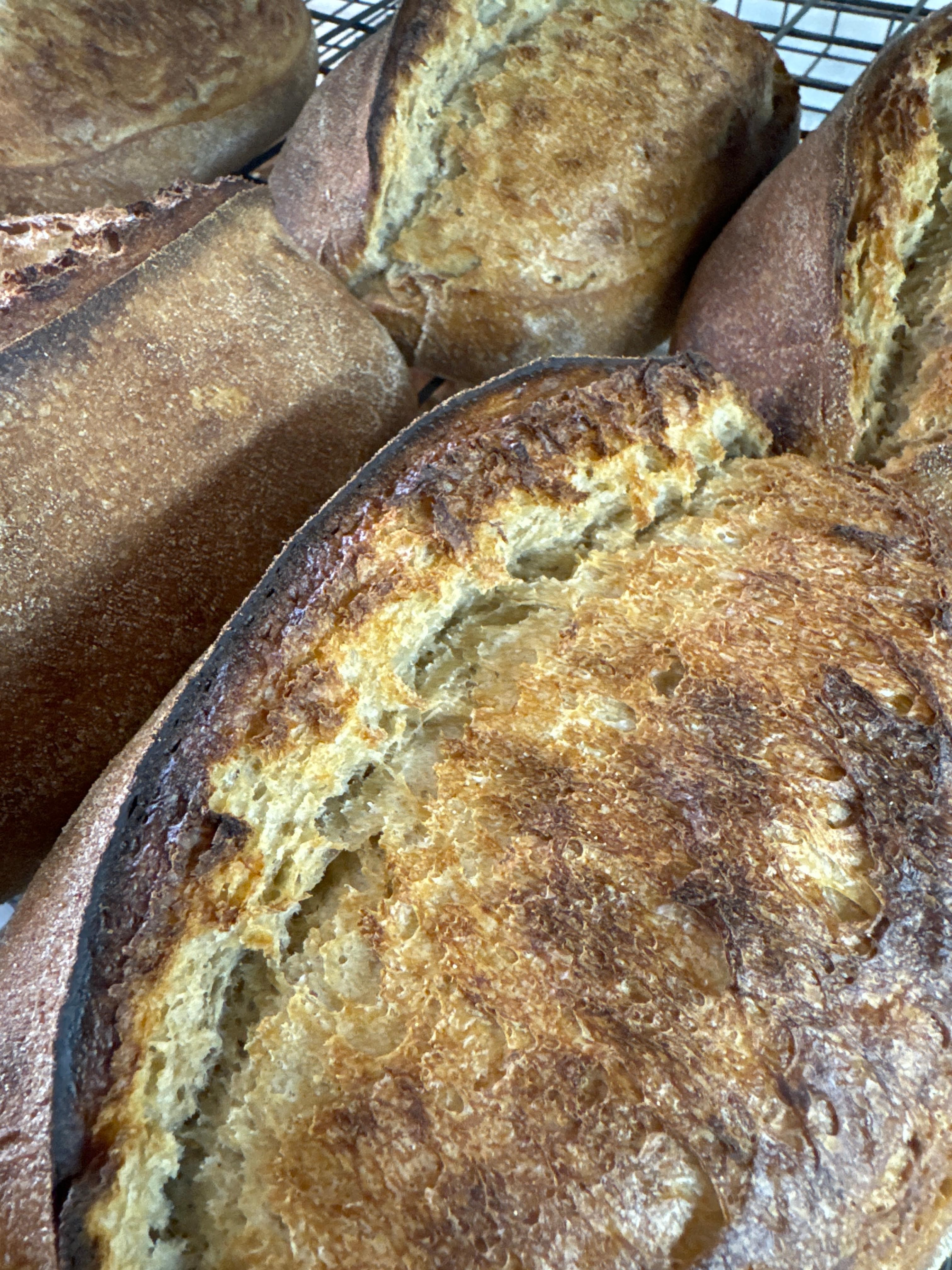 BirchTree Bread Company