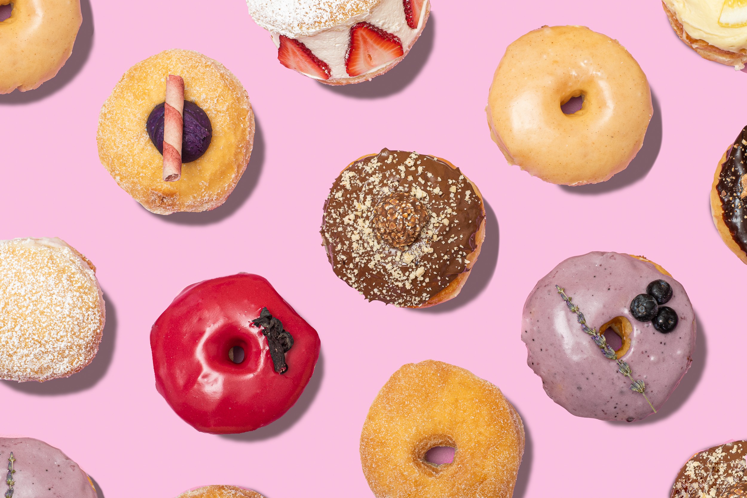 Chubby Baker Sandy | Toast