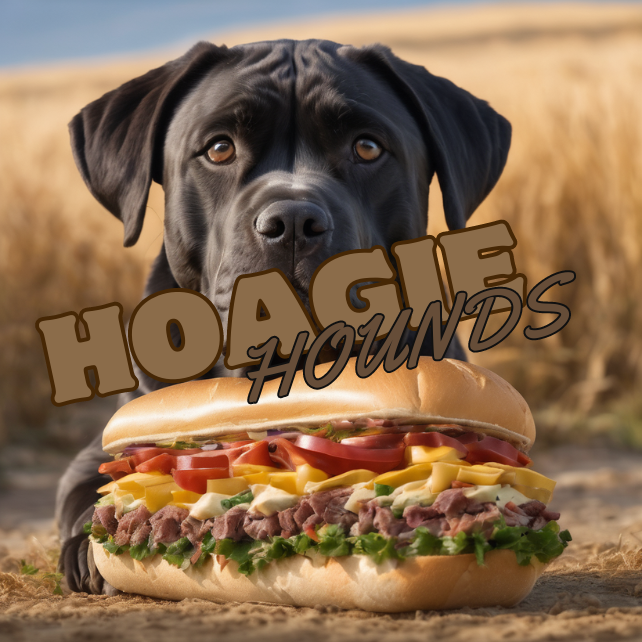 Hoagie Hounds 301 Englewood Avenue | Toast