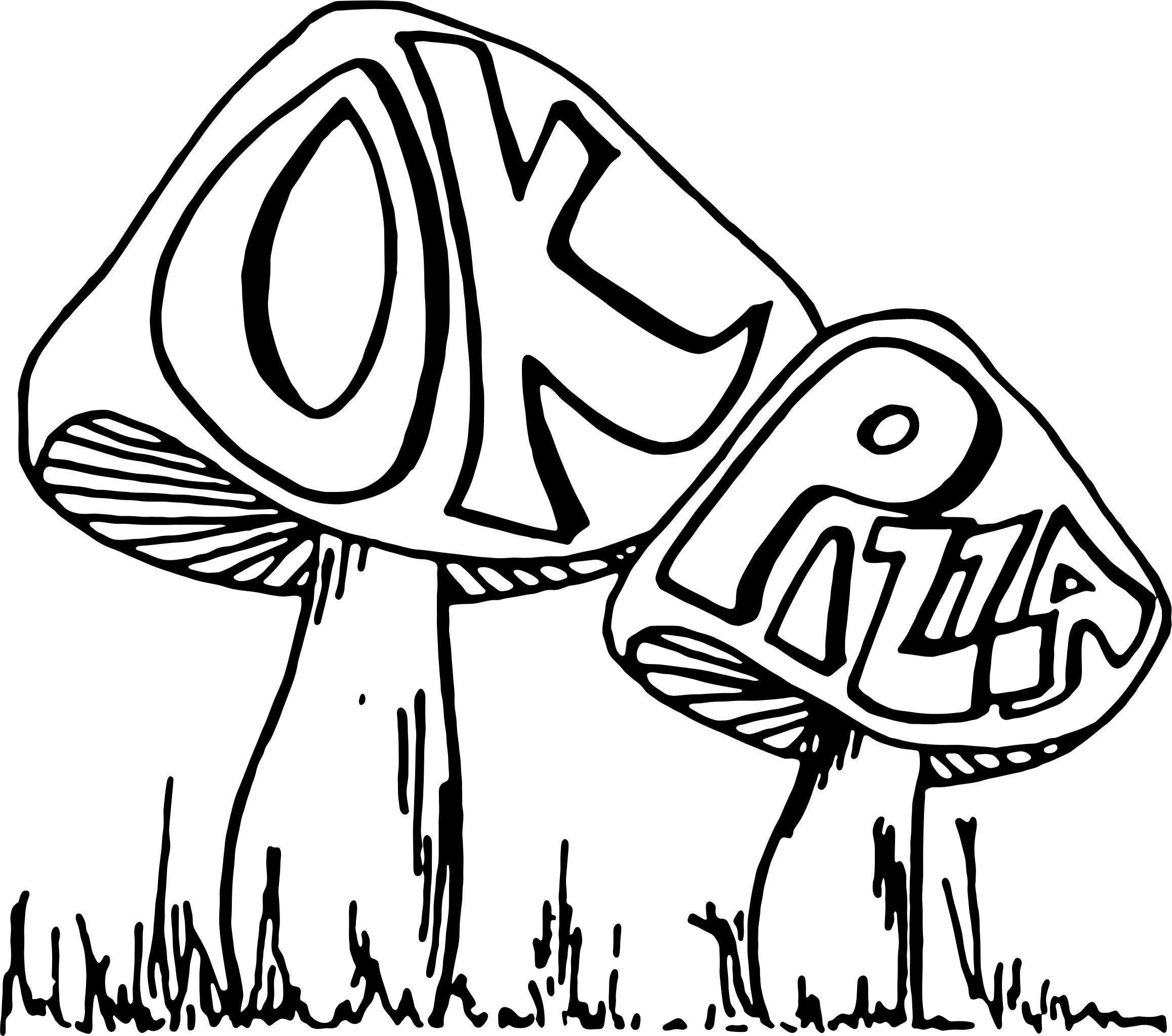 OK Cafe 734 E Center Street - BLT Pizza Flip