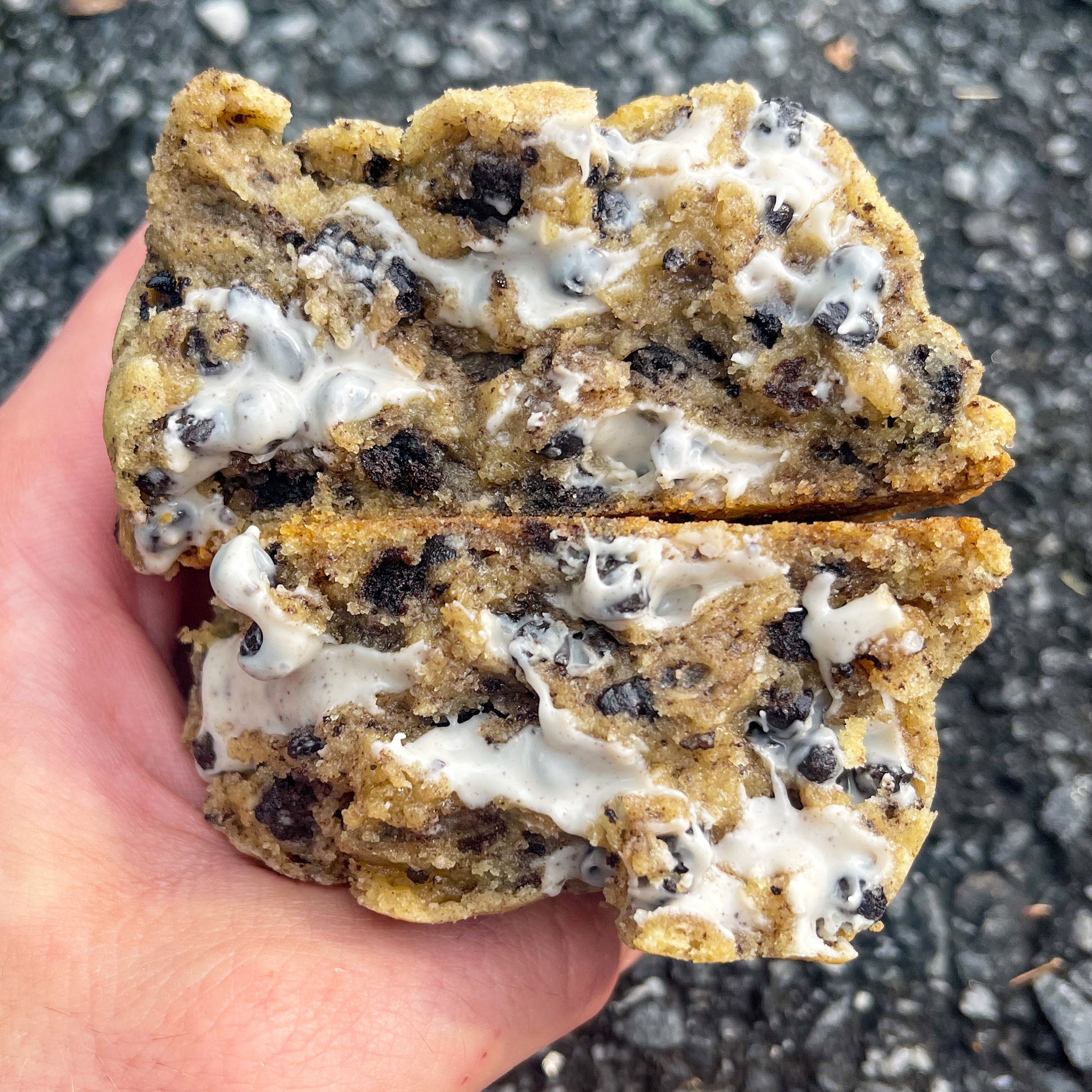 Sugar Shane's Gourmet Cookies - Sandy Springs | Toast