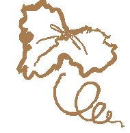 Pippin Hill Farm & Vineyards - Burrata & Spinach Salad