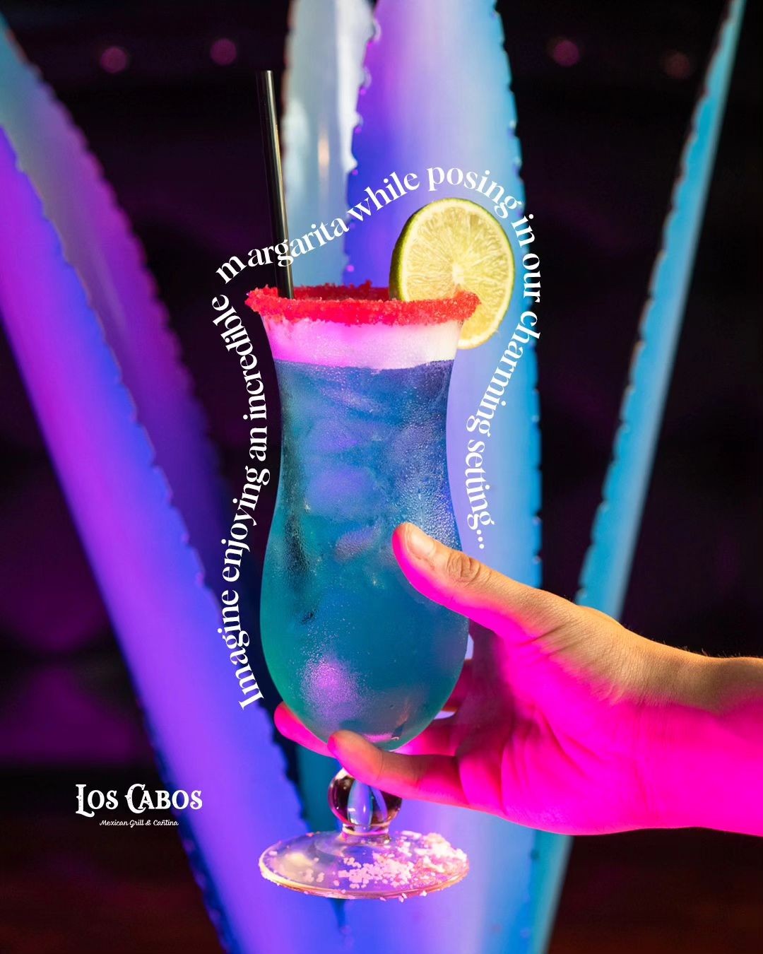 Los Cabos Mexican Restaurant & Cantina 300 Eliot St - 2 oz guac