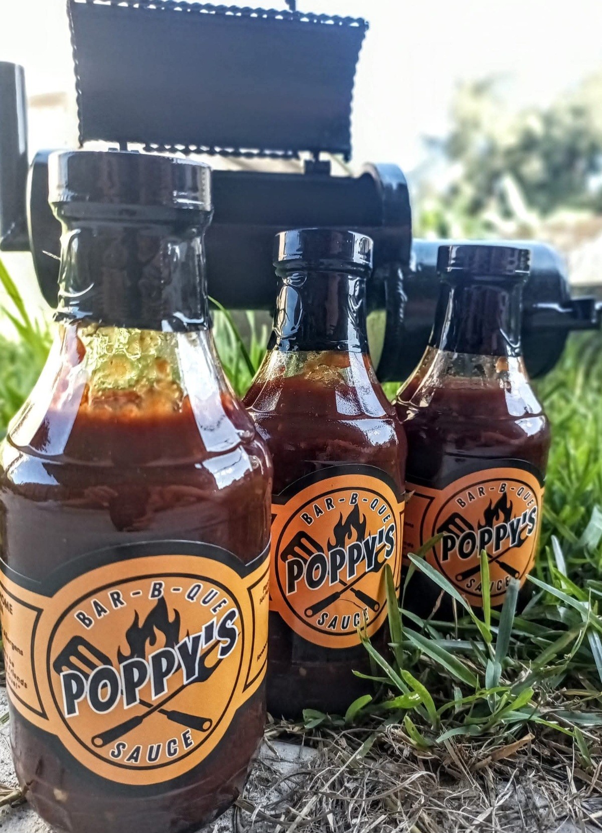 Poppy's Bar-B-Que Sauce - Full-Loaded Pulled Pork French Fries