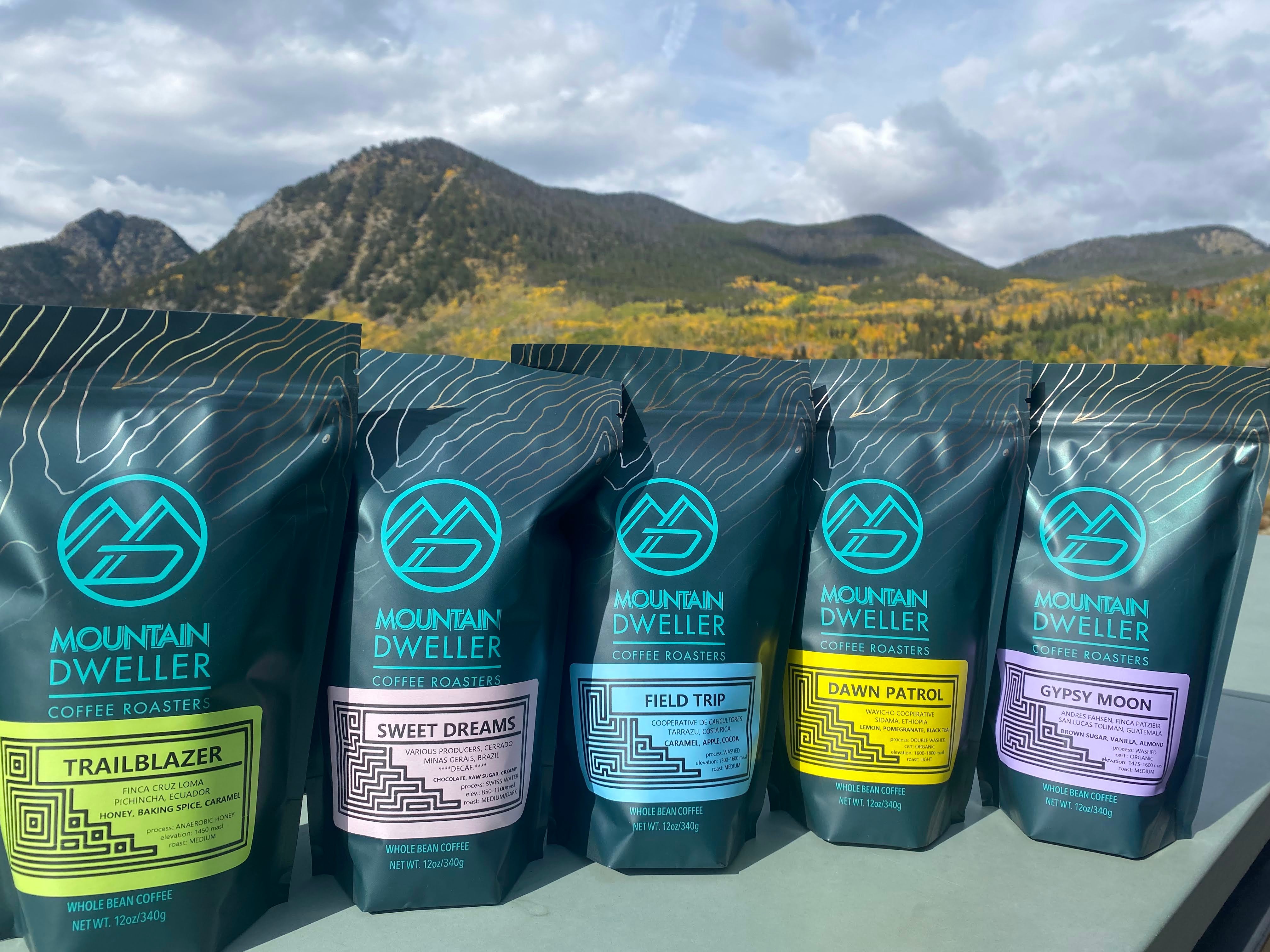 Mountain Dweller Coffee Roasters 182 Lusher Ct | Toast