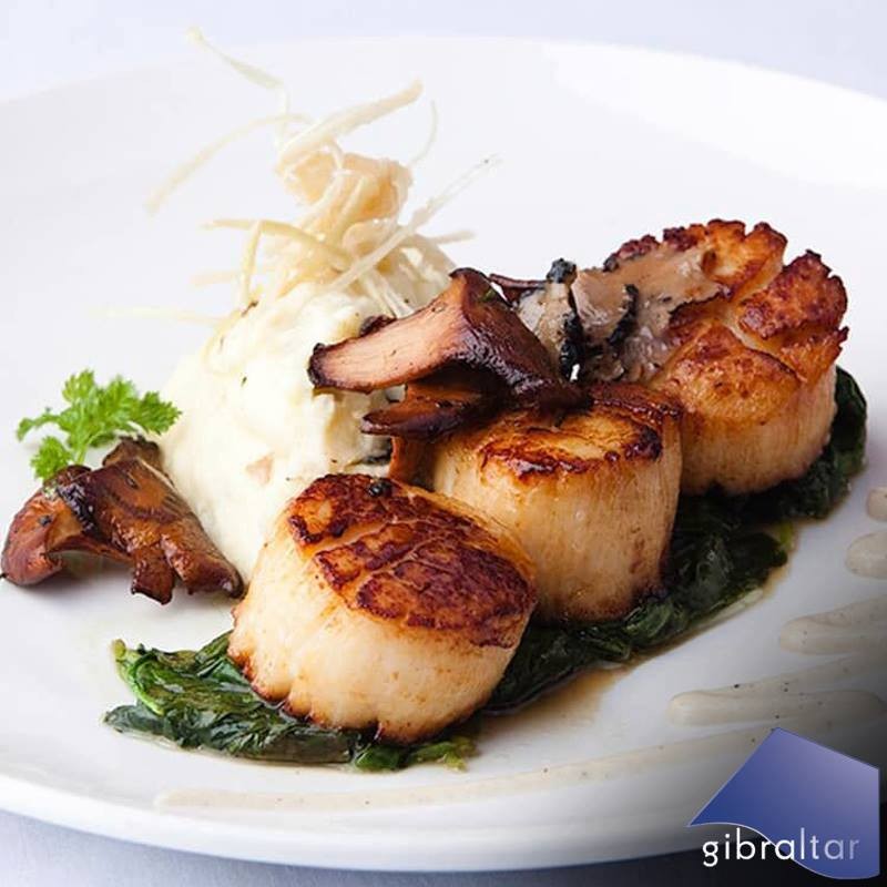 Gibraltar 488 Royer Dr #101 | Toast