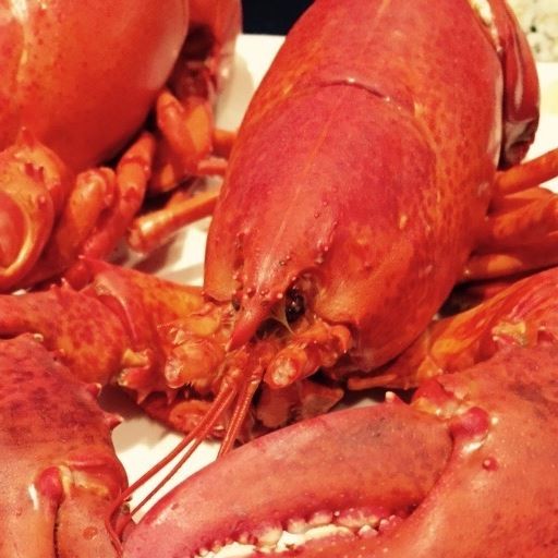 Fresh Catch Seafood & Deli - Mansfield 30 Chauncy St - Lunch Tuna Salad ...