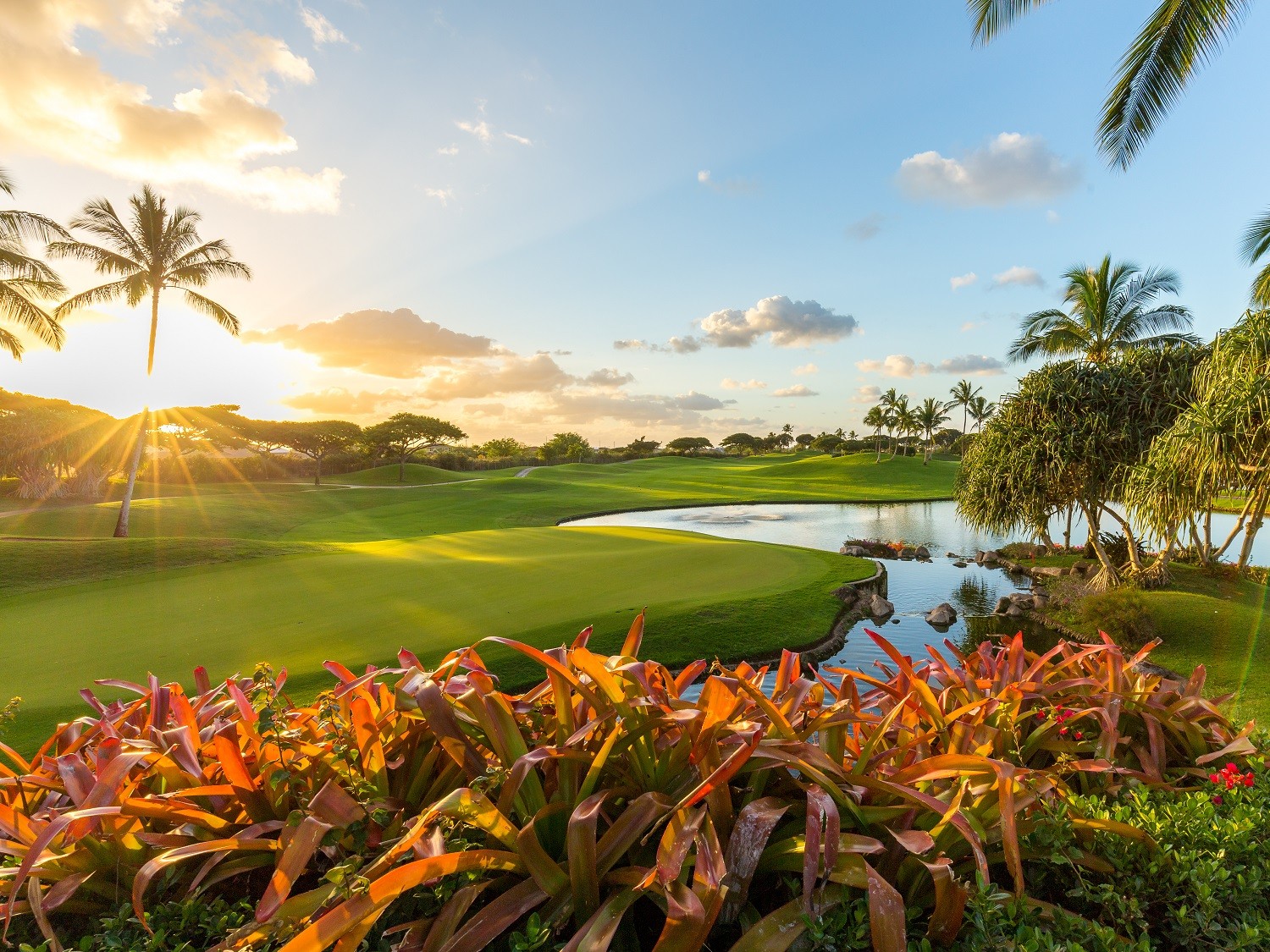 Kapolei Golf Club Restaurant 91-701 Farrington Hwy | Toast