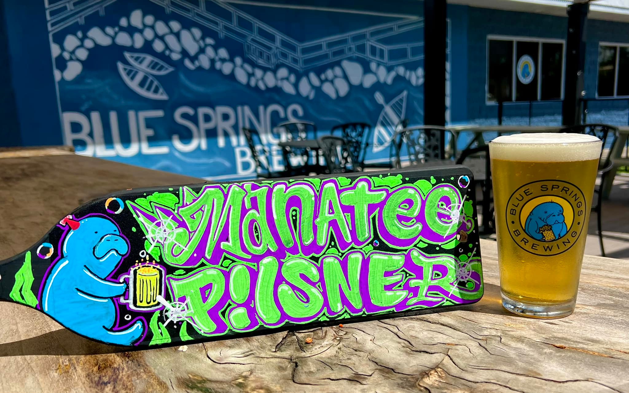 1070 S Volusia Ave - 10" GF Crust