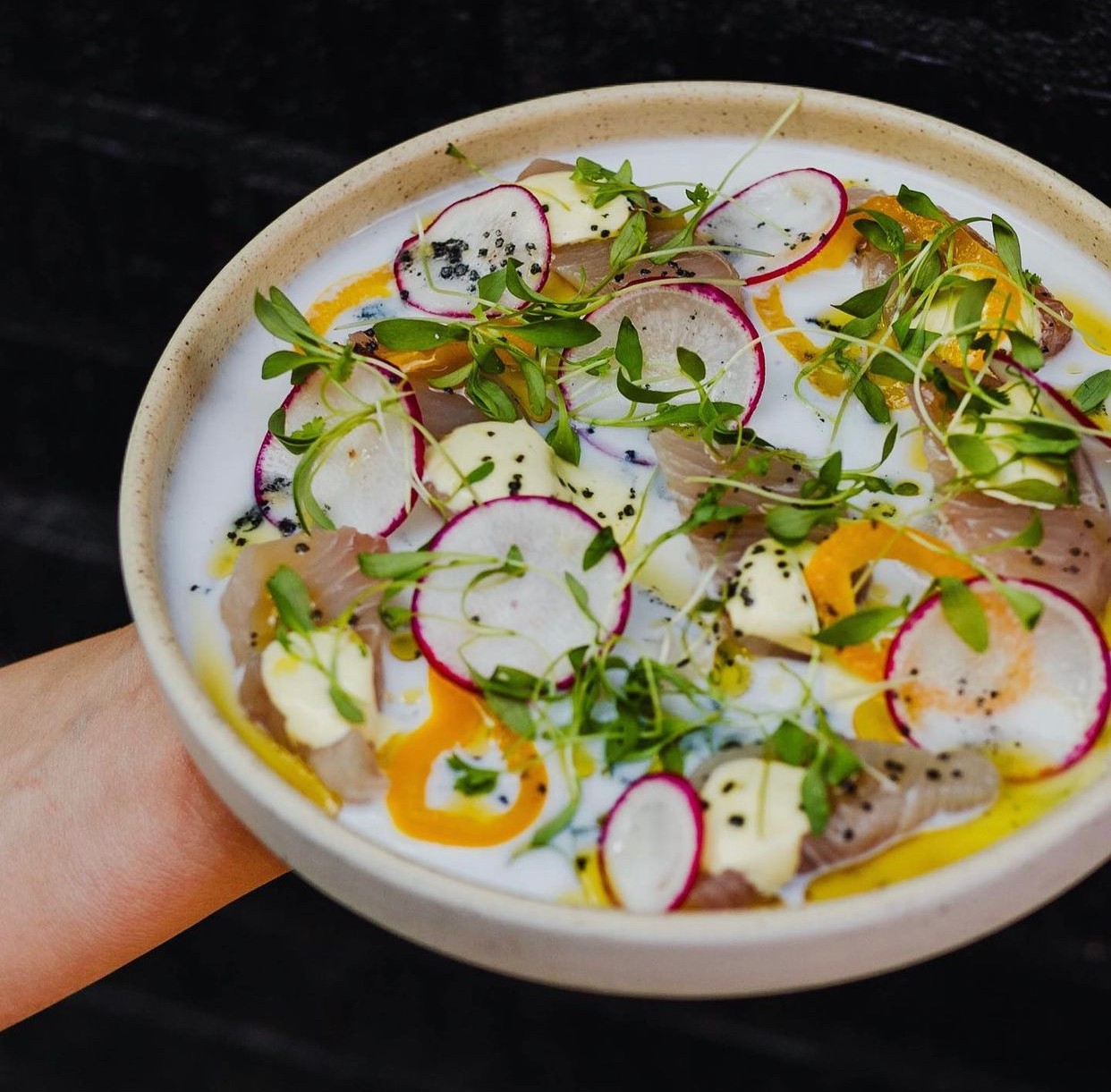 Alici 931 Monroe Drive - Venetian Courtesan