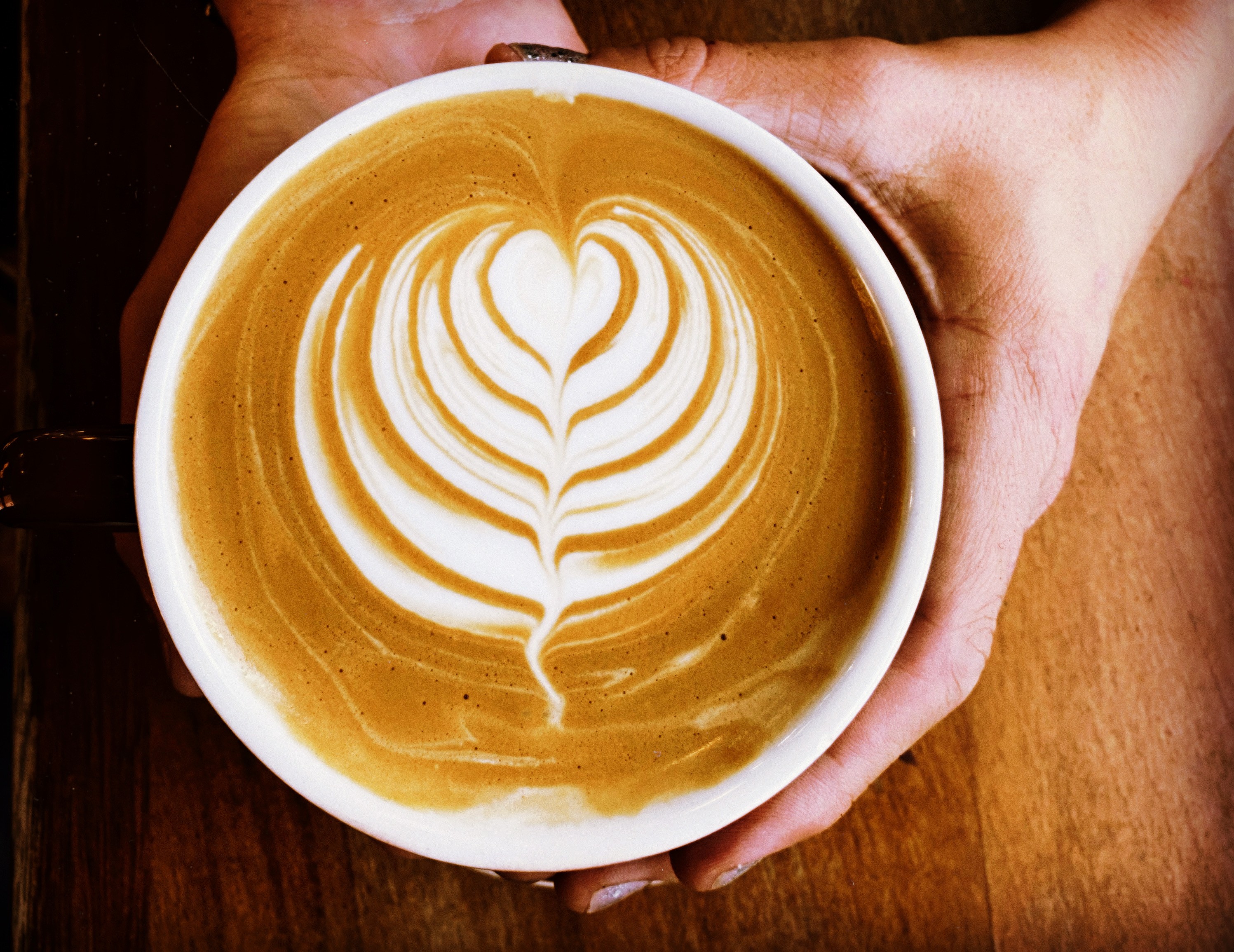 Stell Coffee & Tea Co. Ford St Stell | Toast