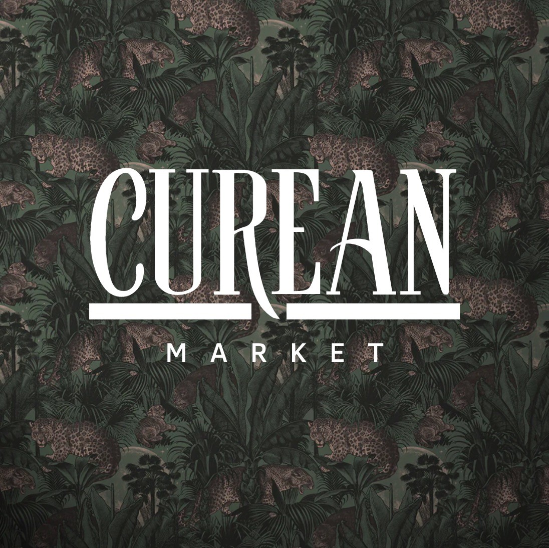 Curean 732A S Main Street
