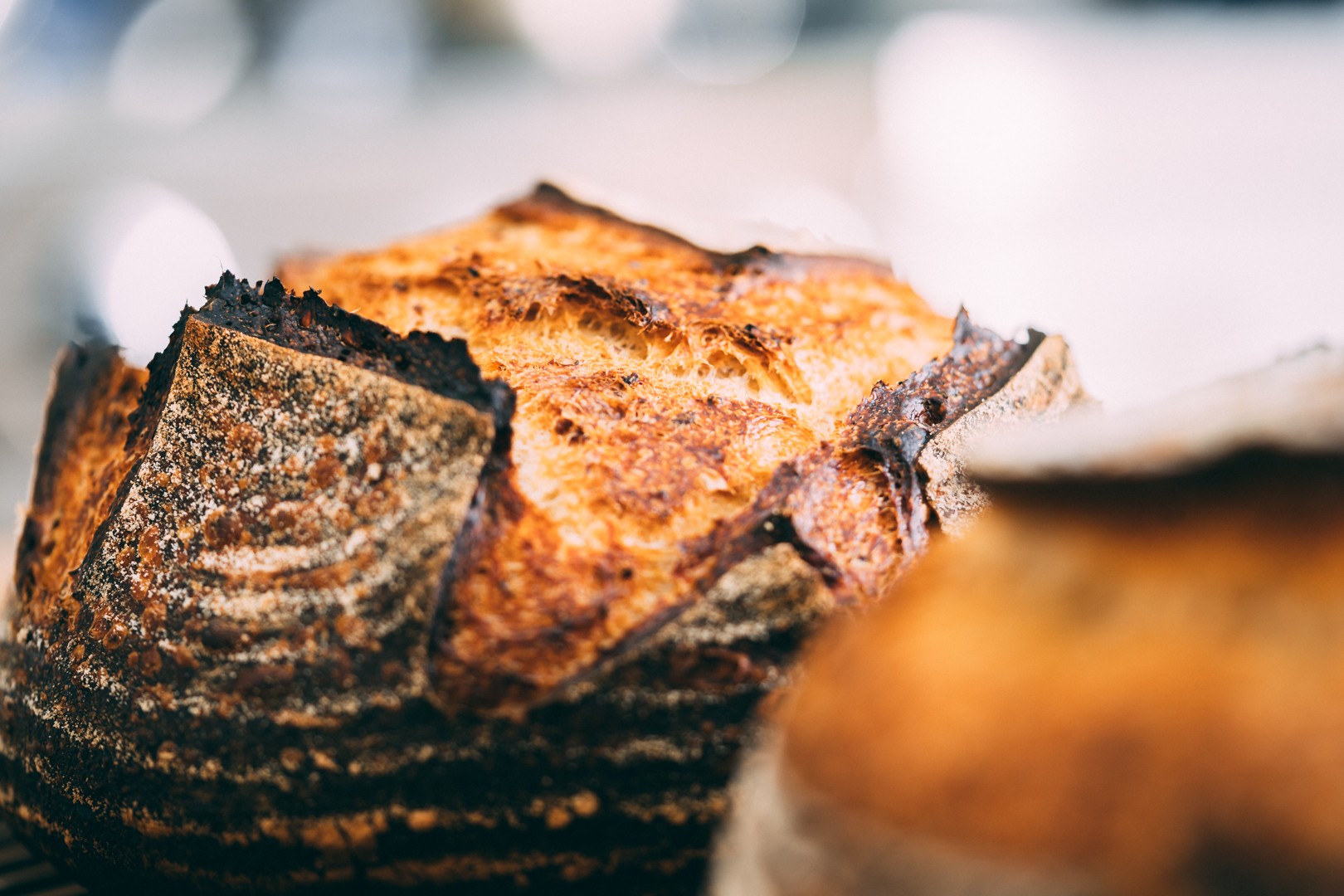 Lincoln Street Bakery 223 Lincoln Street - Brownie Pistachio Cranberry