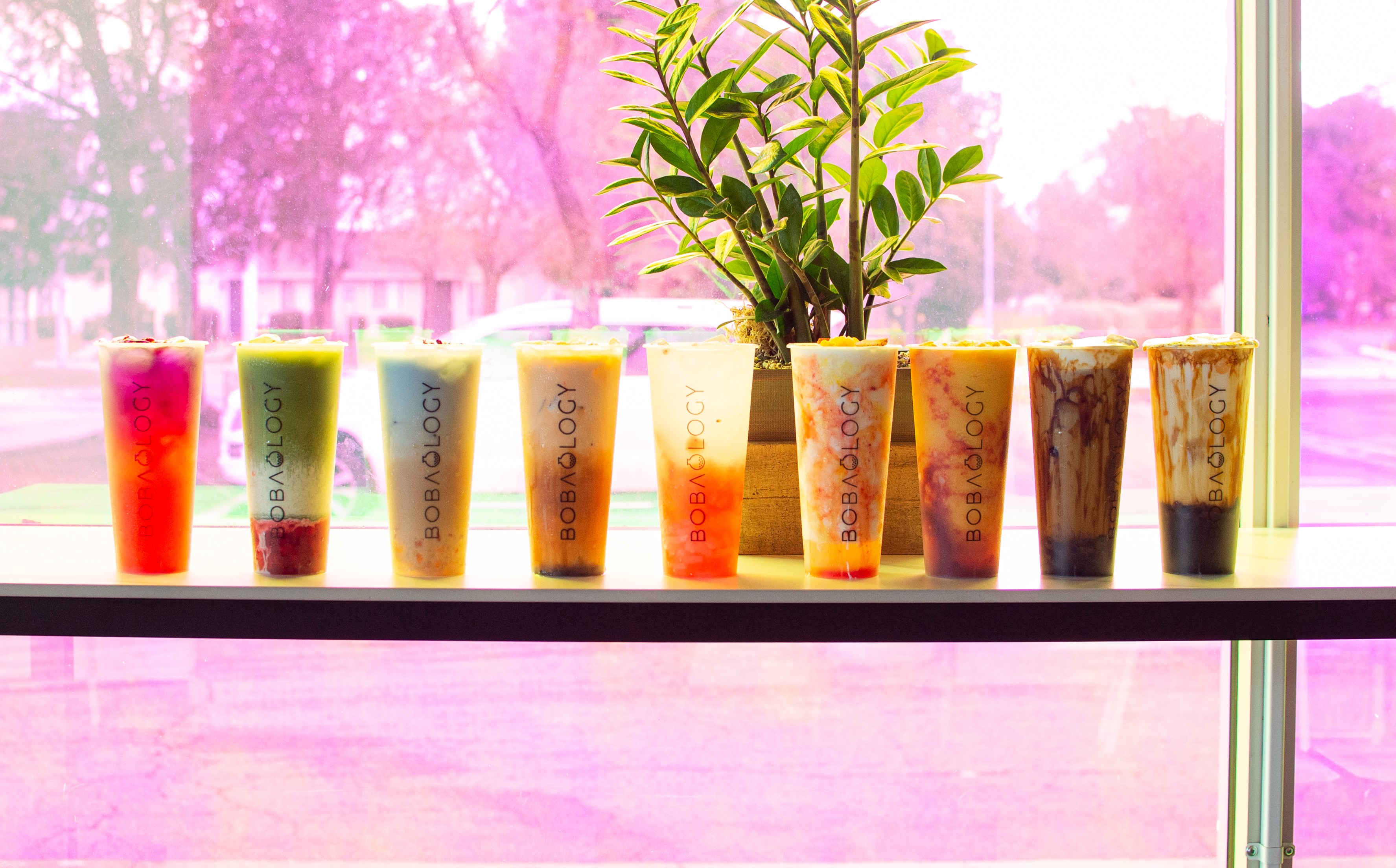 4980 E Ashlan Ave, Fresno, CA 93726 - CYOT (MILK)