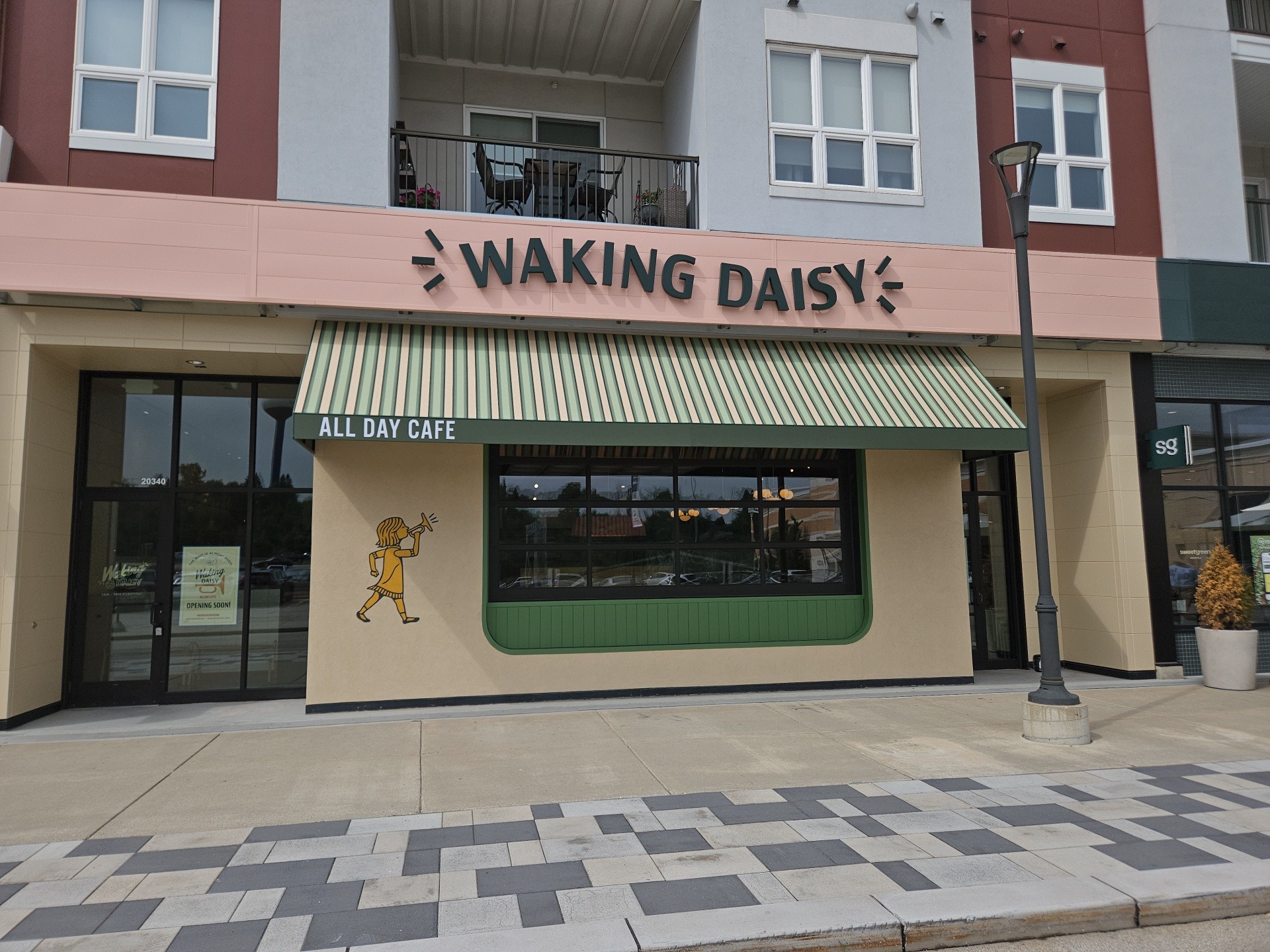 Waking Daisy | Toast