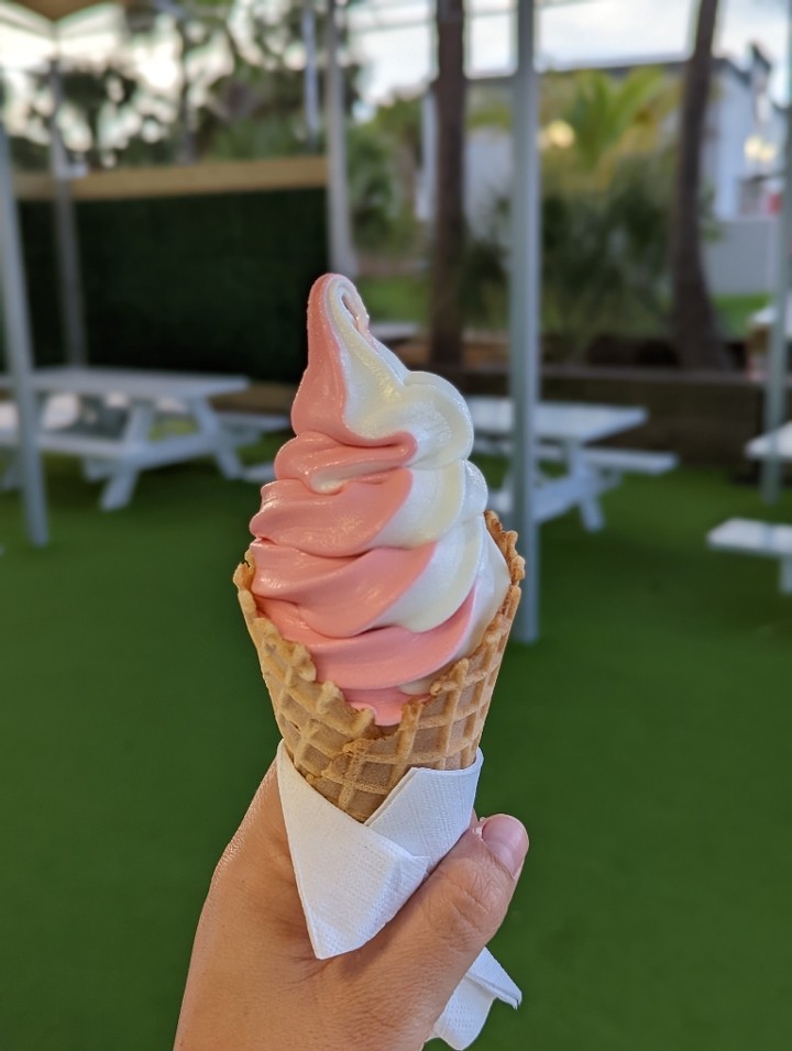 Surfin Turtle 1210 Highway A1A - Waffle Cone