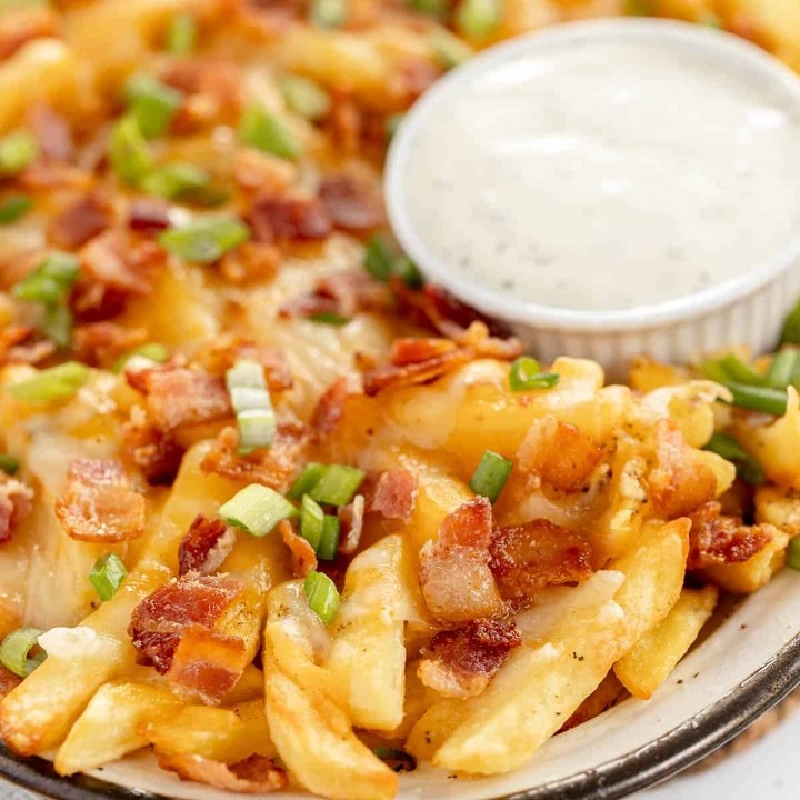 Big Bellies Burgers 3986 W 530 RD - Queso loaded fries