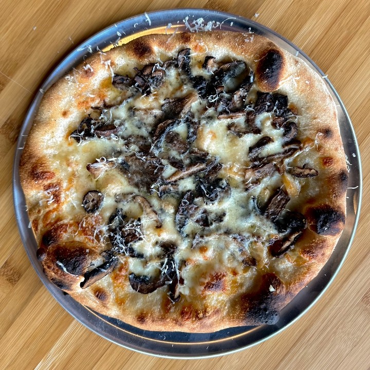 5213 Leavenworth Street - Funghi