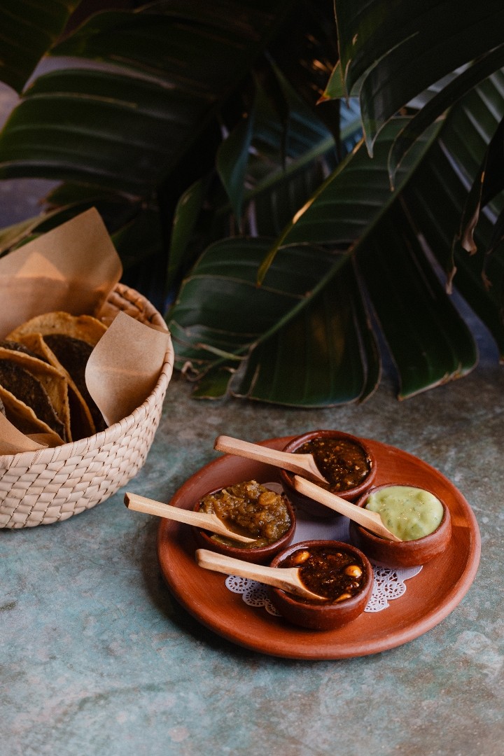 AMANO - Salsa Flight