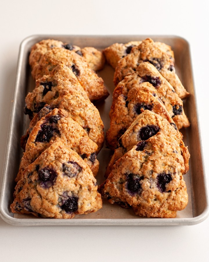 Stony Brook Square - Blueberry Lemon Scone