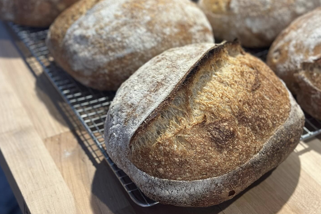 Semo Pasta + Wine | Toast