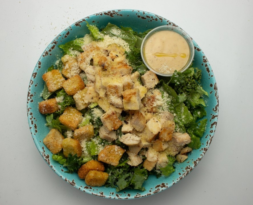 Fresh Garden Bowls 849 SEABREEZE BLVD K106 - KALE & CAESAR SALAD { with ...