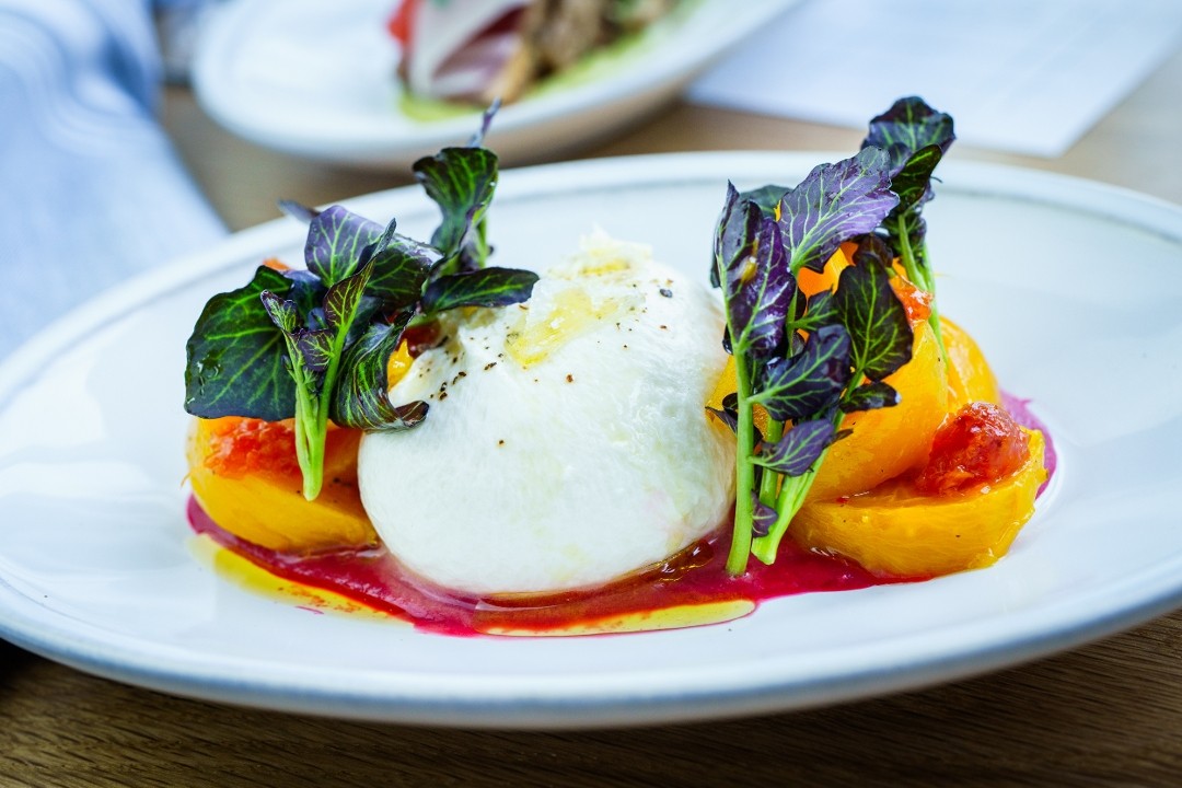 Restaurant - BURRATA