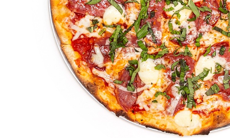 Union Bear Denton | Toast