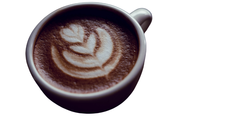 Wicked Voodoo Espresso | Sea World Wicked Voodoo Espresso | Sea World ...