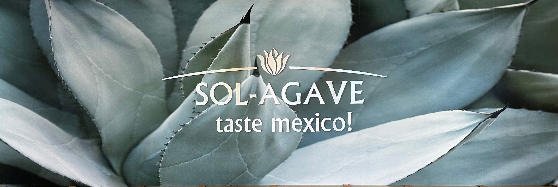 Sol Agave SLC | Toast