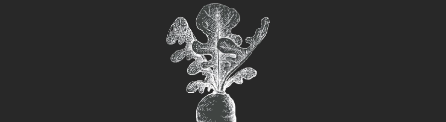 108-25 Ascan Ave. - California Veggie Burger