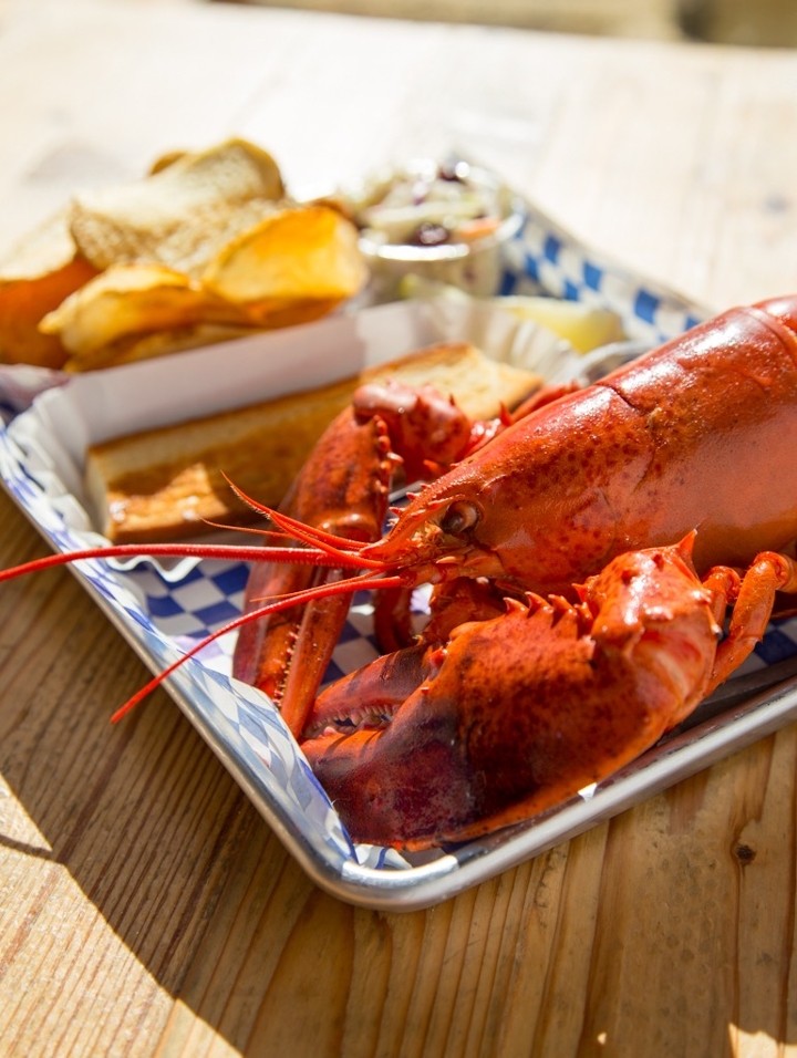 New England Lobster Market & Eatery - LIVE LOBSTER