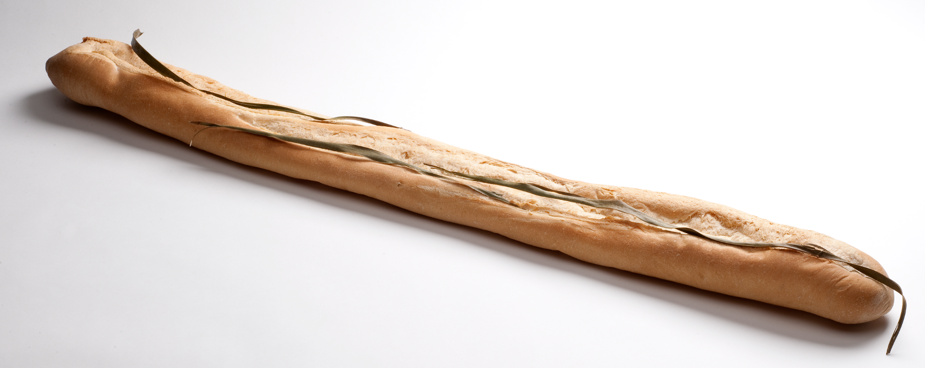 La Segunda St. Pete - Breakfast Sandwich