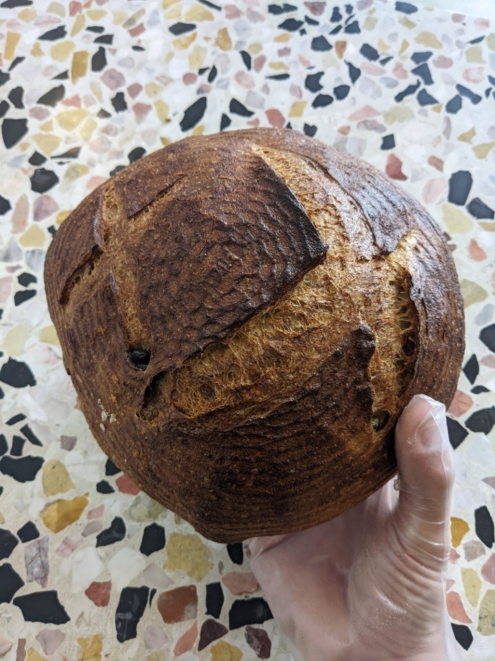 Colossus Harbor - Olive + Cumin Levain