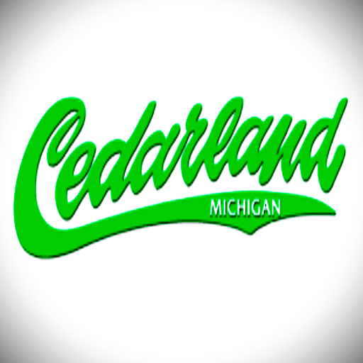 Cedarland Restaurant 13007 W Warren Ave - Mango Smoothie