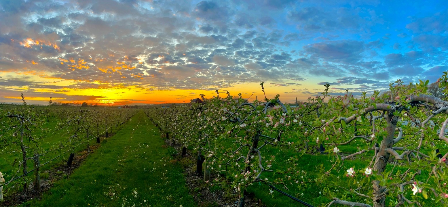 The Lookout Outdoor Dining at Lookout Farm - Smoked Chili Lime Wings